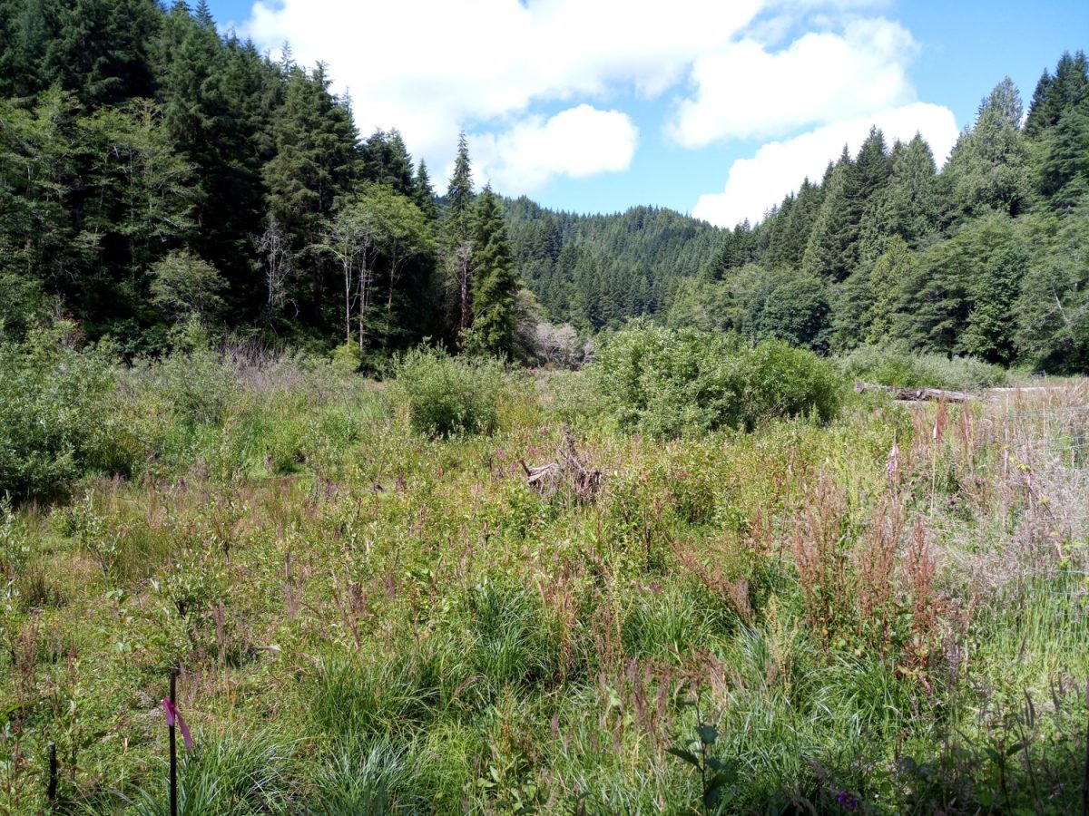 Pilot Areas – Co-Adapt – Climate Adaptation Through Co-creation